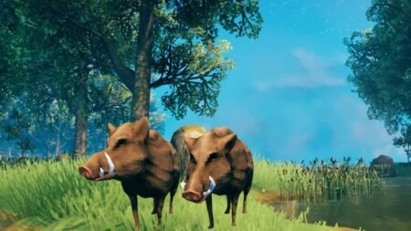 Everything On Boars In Valheim: How To Tame, Feed, Breed & More!
