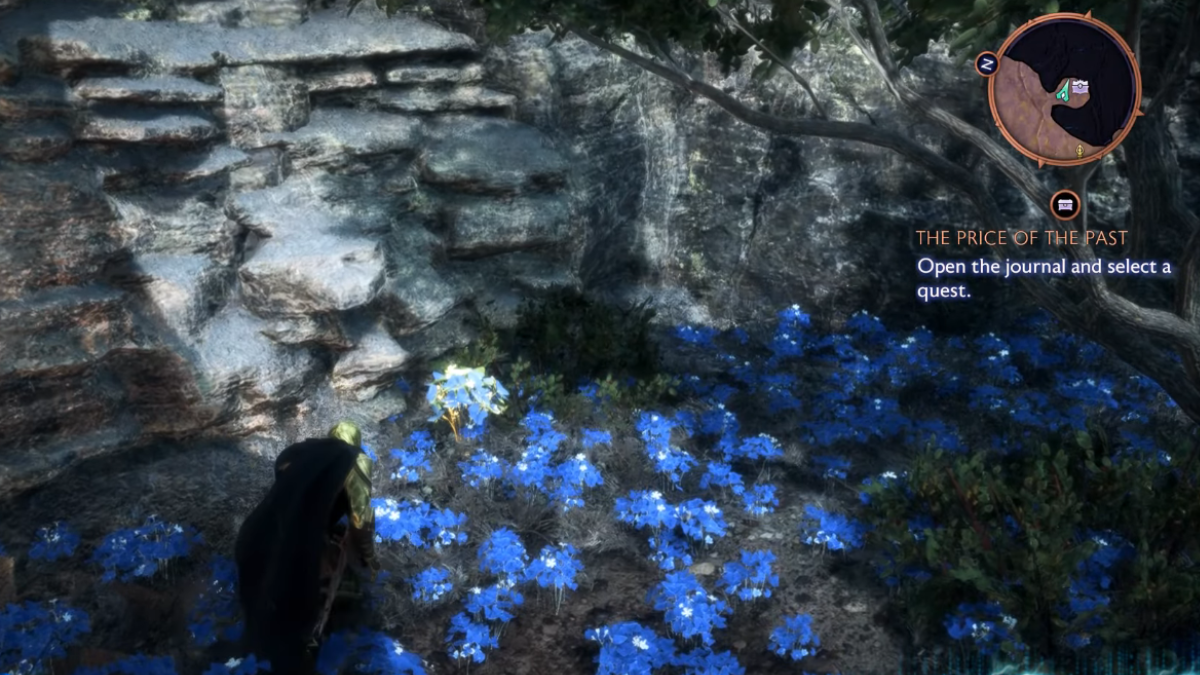 Dragon Age: The Veilguard - In Peace Trophy / Achievement Guide (All ...