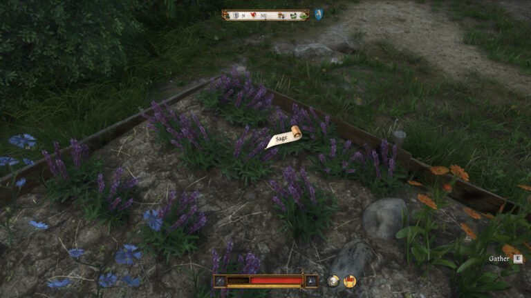 Where To Find Rope In KCD 2(Plague Mask Item)