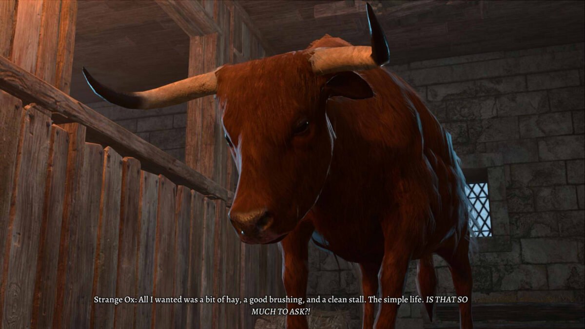 What to Do With the Strange OX in Baldur's Gate 3