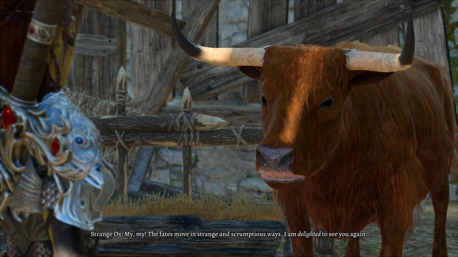 What to Do With the Strange OX in Baldur's Gate 3